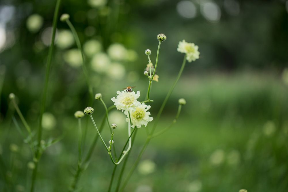 Ich bin der faule Willi, ein jeder ........ Foto & Bild | tiere ...