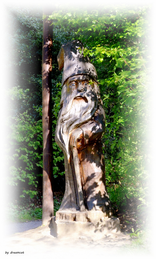 ich bin der Waldgeist Foto & Bild | kunstfotografie & kultur, gemälde ...