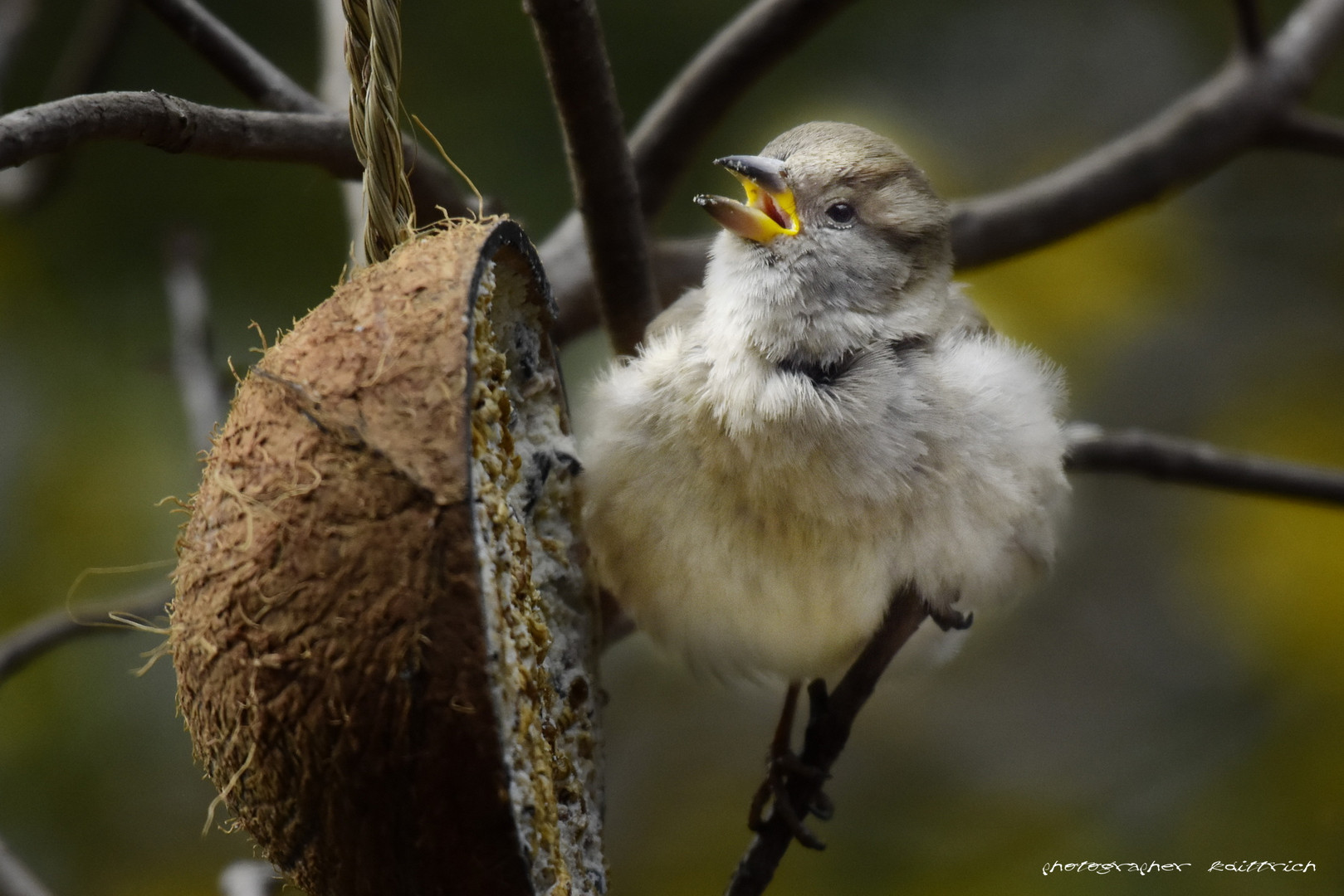 Ich bin sooooooo hungrig..... Foto & Bild | naturereignisse, natur ...