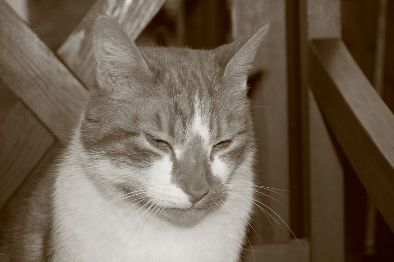 Ich glaub, ich muß mich noch ein wenig ausruhen, bevor ich schlafen geh ...