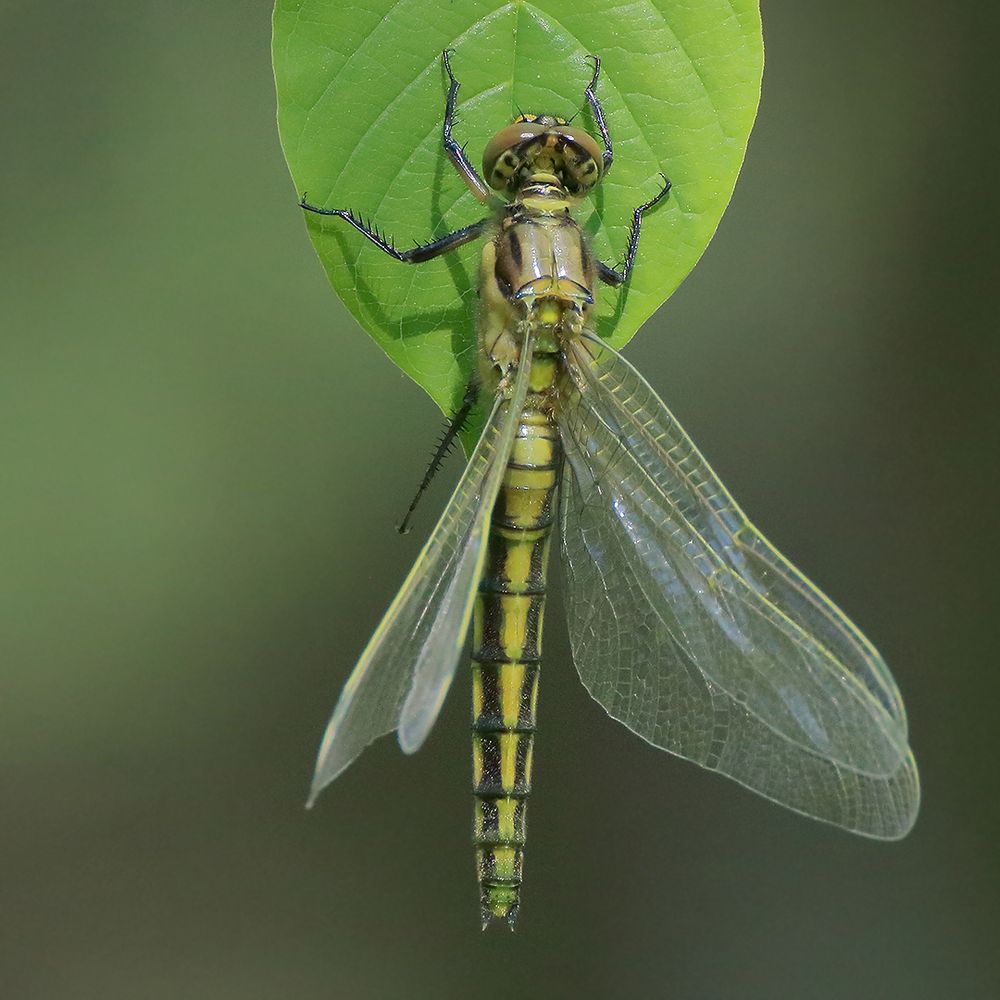 Ich habe darauf gewartet das sie abrutscht Foto & Bild | youth ...
