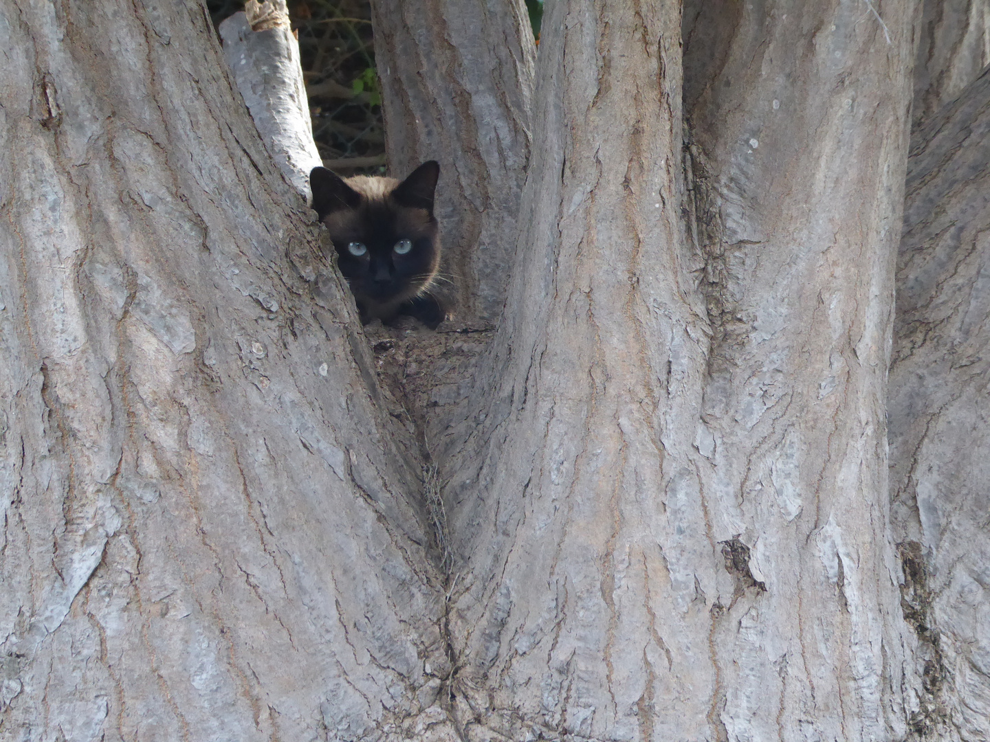 Ich habe einen guten Durchblick... Foto & Bild | projekte, 4 - donnerstag mit durchblick ...