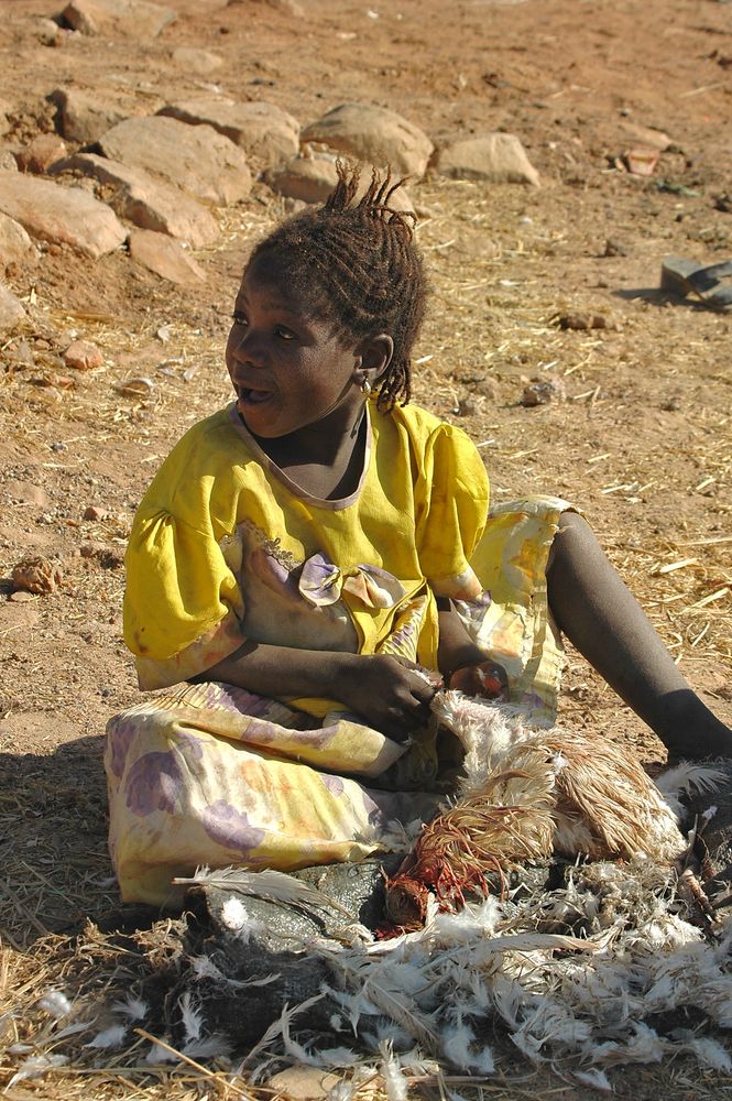 Ich habe noch ein Hühnchen zu rupfen Foto & Bild | africa, western ...