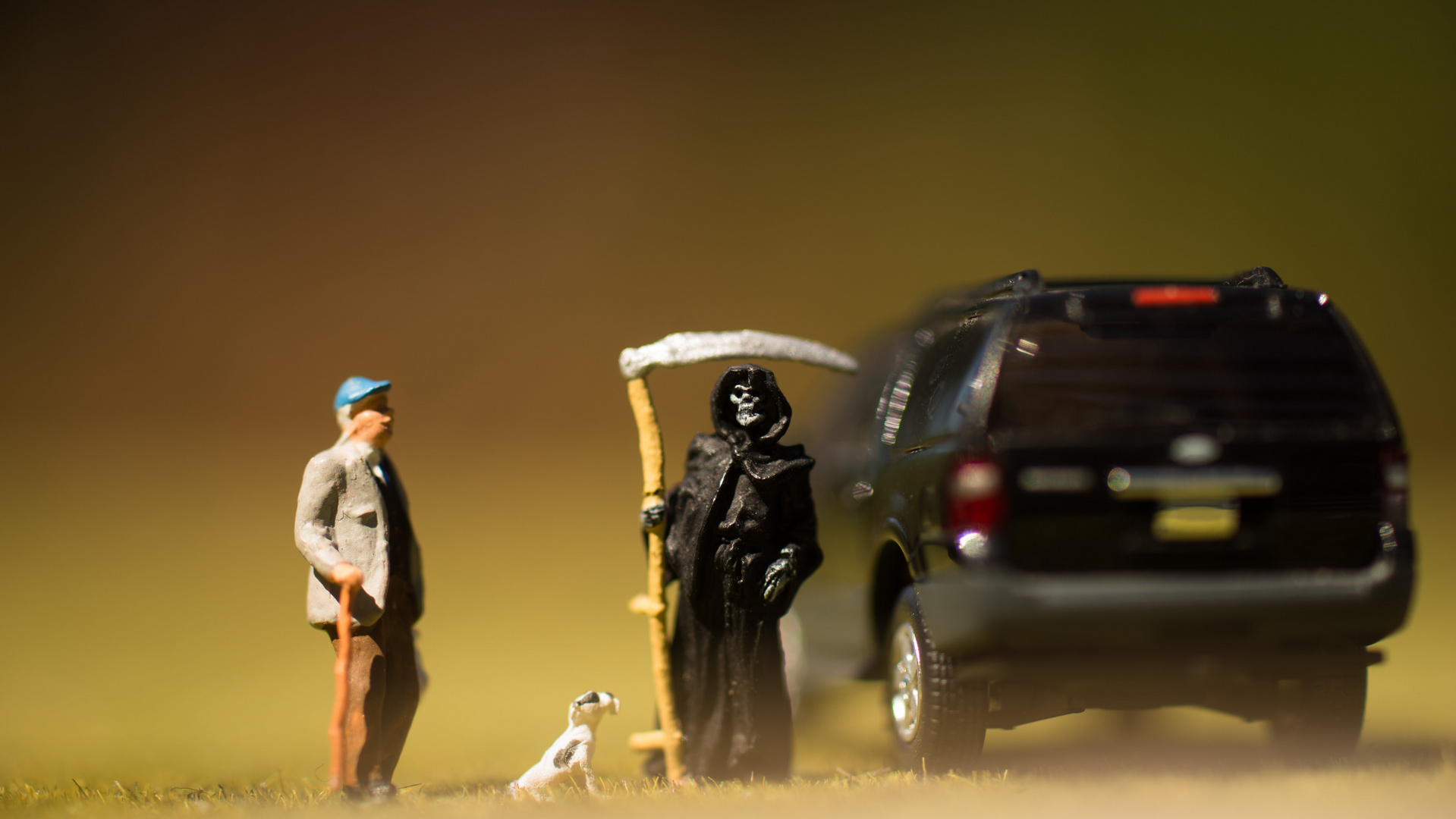 Ich habe schon auf Dich gewartet Foto & Bild | stillleben, emotionen ...