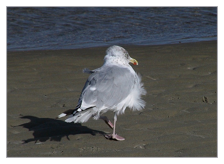 Ich hasse... Foto & Bild | deutschland, europe, niedersachsen Bilder ...