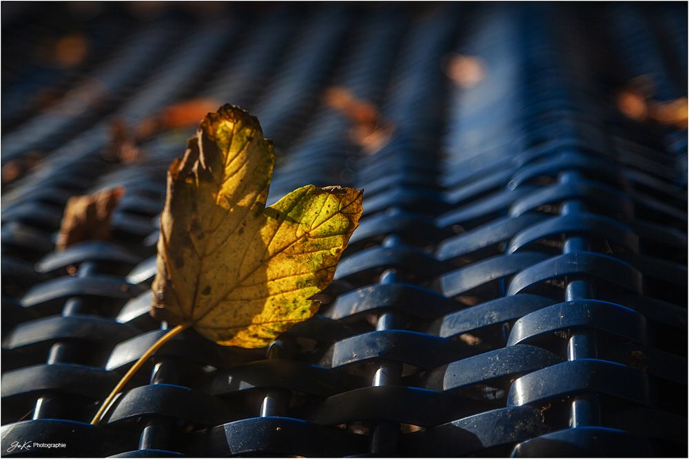 ich mache heute blau Foto & Bild | stillleben, landschaft, meer ...