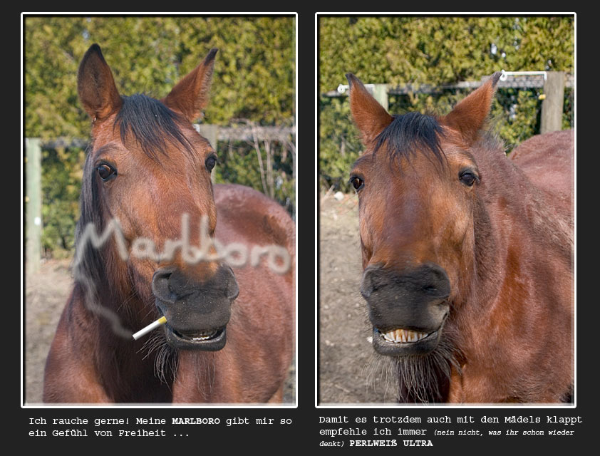 Ich rauche gerne Foto & Bild | quatsch, fun und rätselecke, humorvolle ...