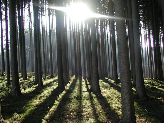 Thomas Zech - Fotos & Bilder - Fotograf aus Neusäß, Deutschland ...