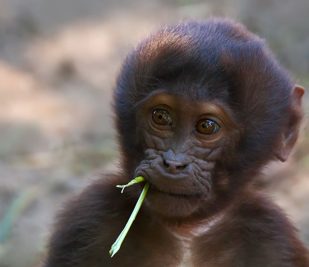 Ich steh auf Gras Foto & Bild | gras, natur, portrait Bilder auf ...