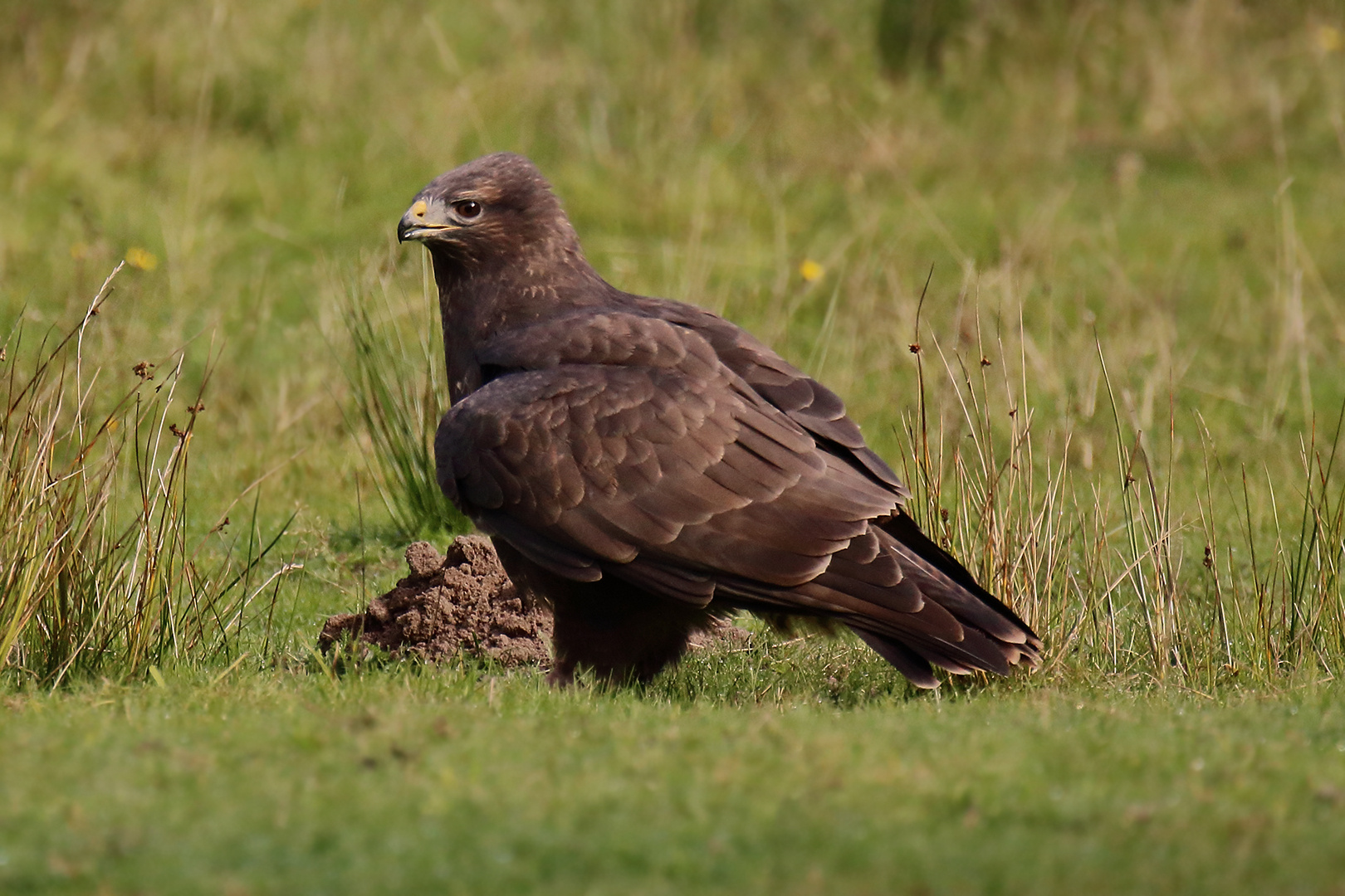 Ich teile die Würmer nicht mit dir Foto & Bild | fotos, youth, natur ...