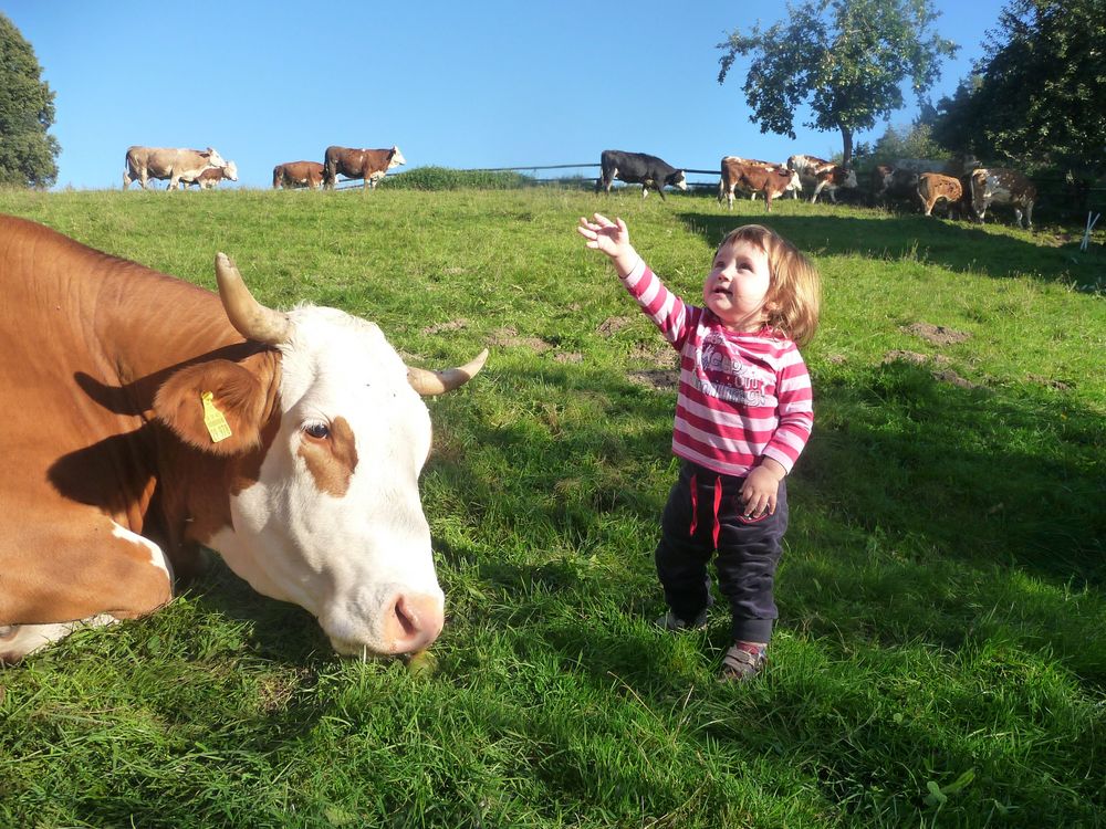 fotocommunity Portfolio von Roland Stumpf