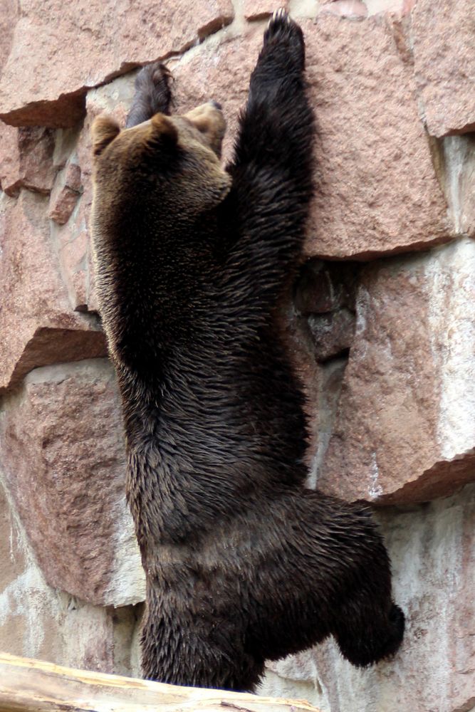 ich will raus hier Foto & Bild | deutschland, europe, sachsen- anhalt ...