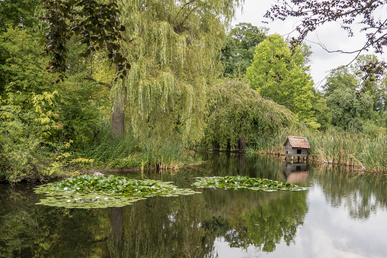 Idylle Foto & Bild | landschaft, jahreszeiten, sommer Bilder auf ...