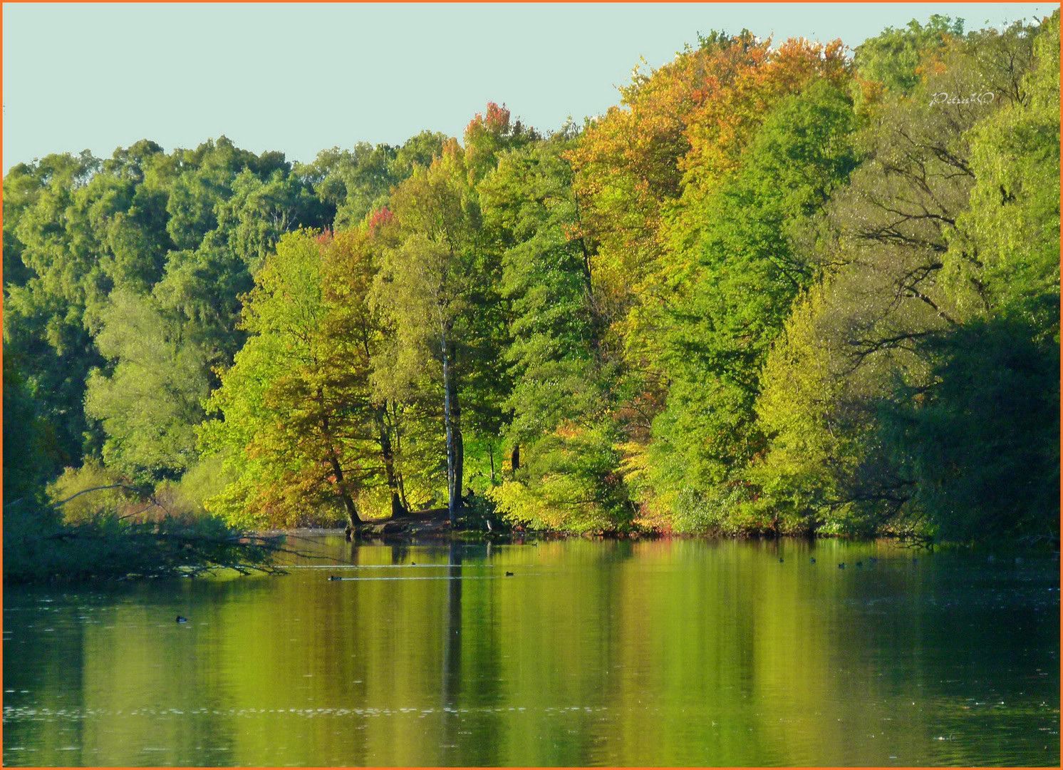 Idylle am Bramfelder See Foto & Bild | landschaft, bach, fluss & see, see, teich & tümpel Bilder ...