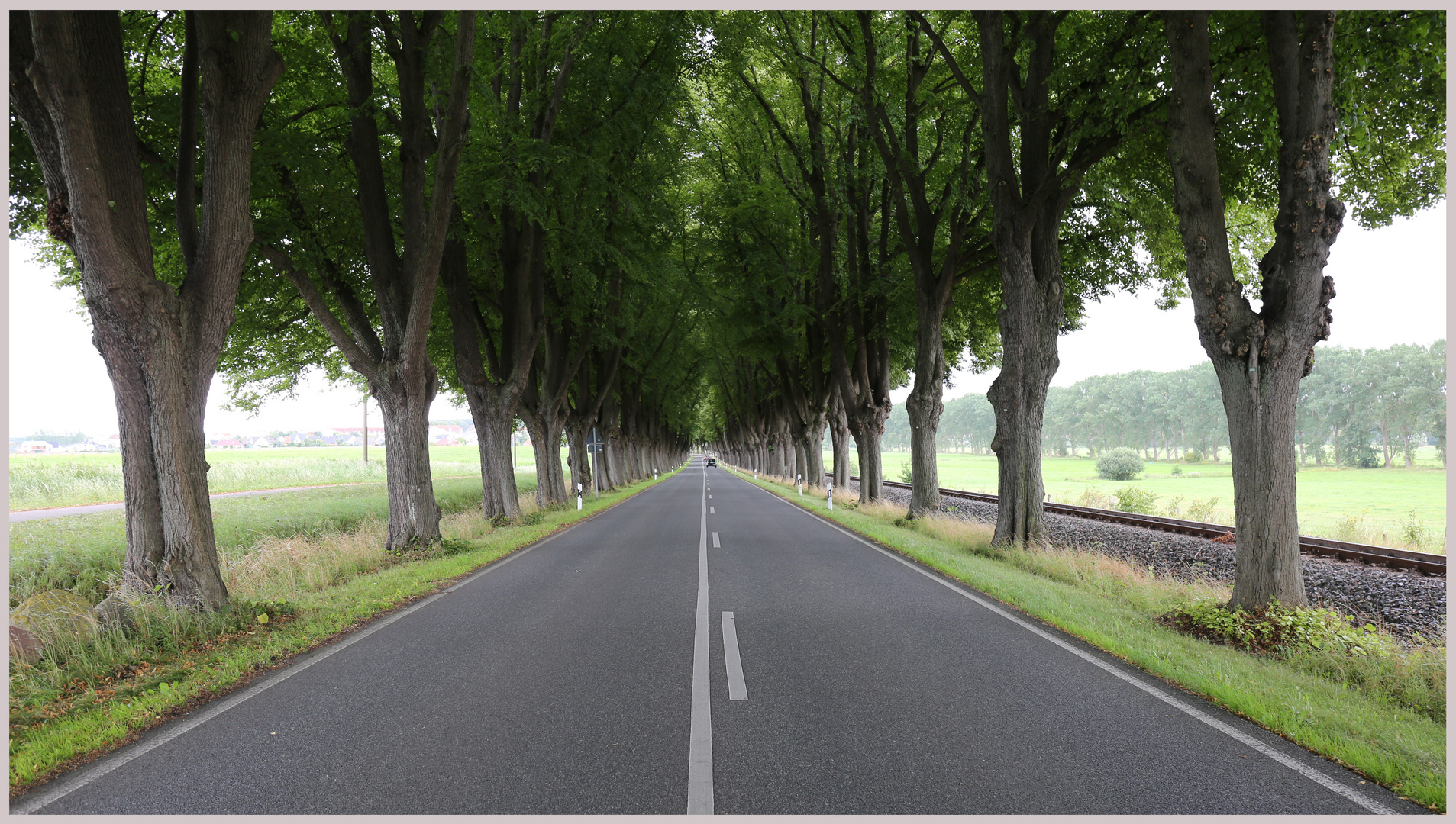 idyllische Chaussee Foto & Bild | world, mecklenburg-vorpommern ...