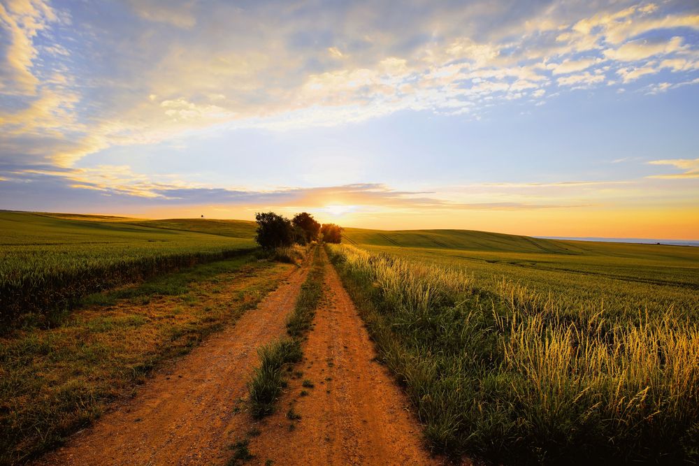 Idyllische Landschaft bei Sonnenaufgang, mit Weg Foto & Bild ...