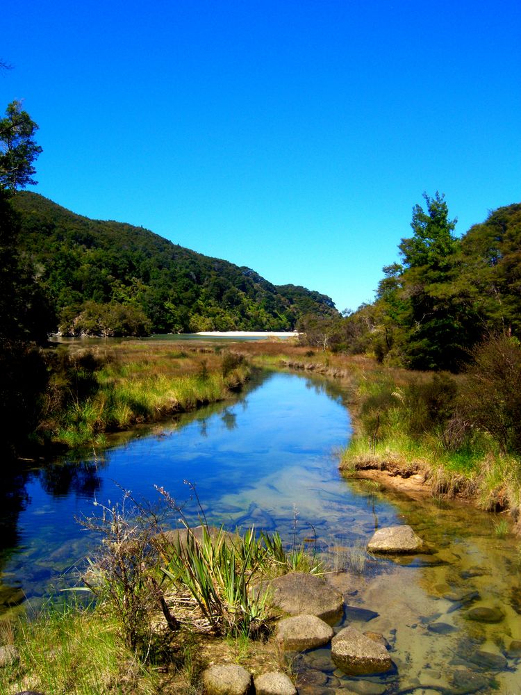 Idyllischer Fluss Foto & Bild | landschaft, bach, fluss & see ...