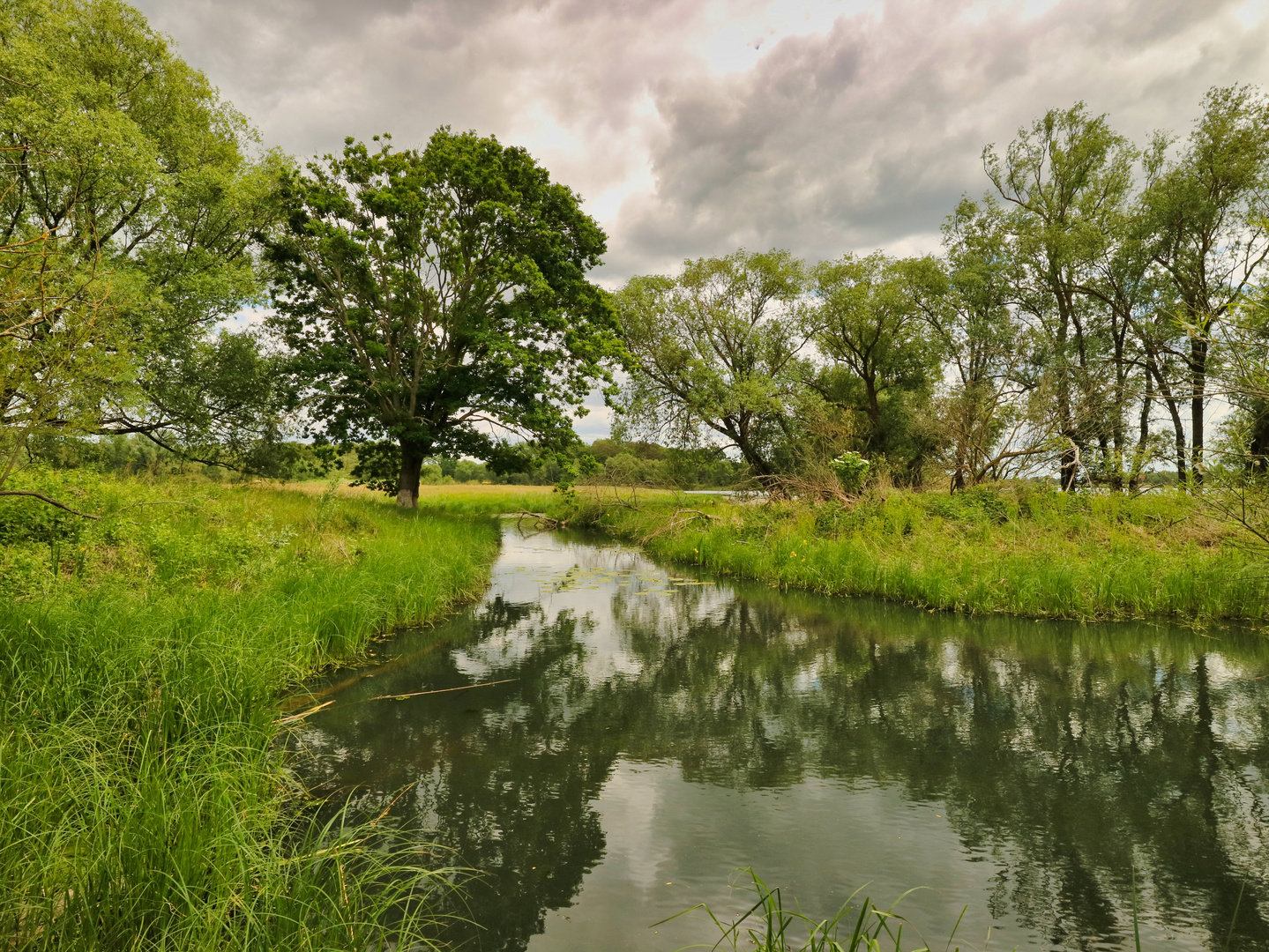 Idyllischer Gartower See Foto & Bild | Bilder auf fotocommunity