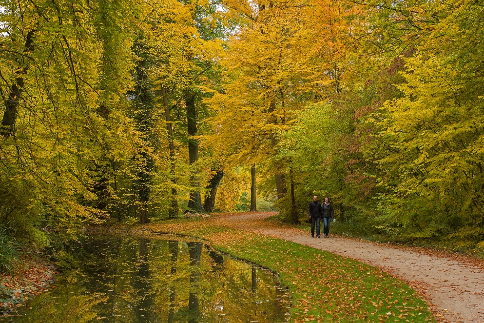 idyllischer Herbstspaziergang Foto & Bild | jahreszeiten, herbst, natur Bilder auf fotocommunity
