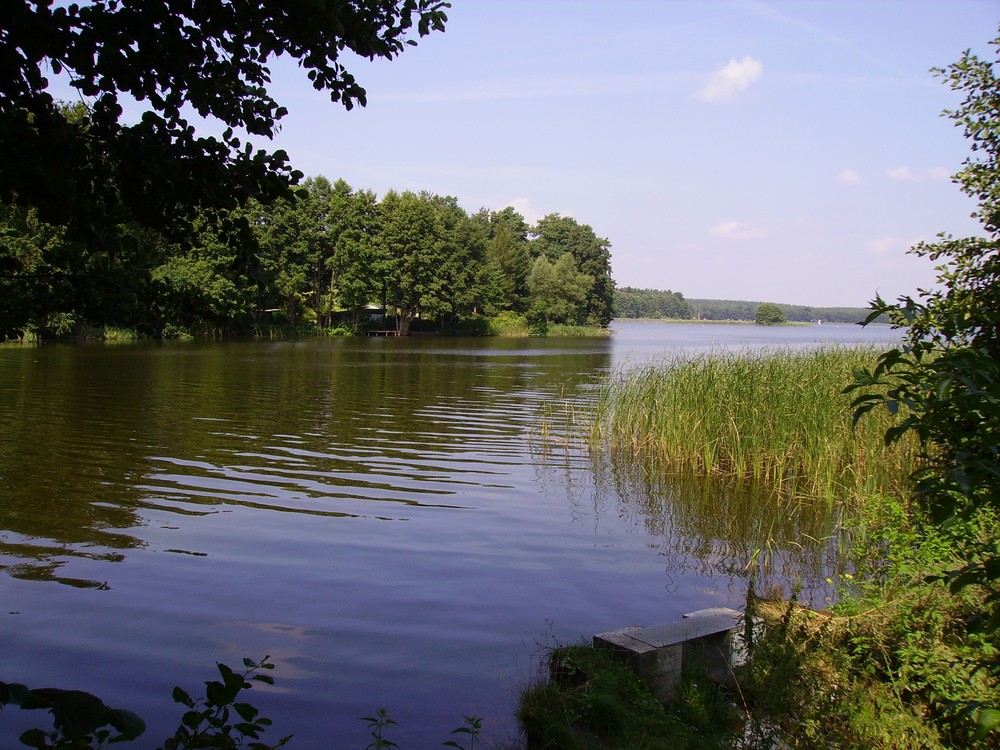 idyllischer See in Mecklenburg Foto & Bild | landschaft, bach, fluss ...