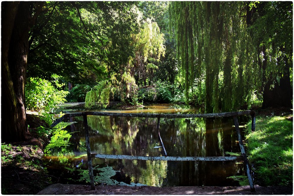 idyllischer Teich Foto & Bild | spezial, teich, natur Bilder auf ...