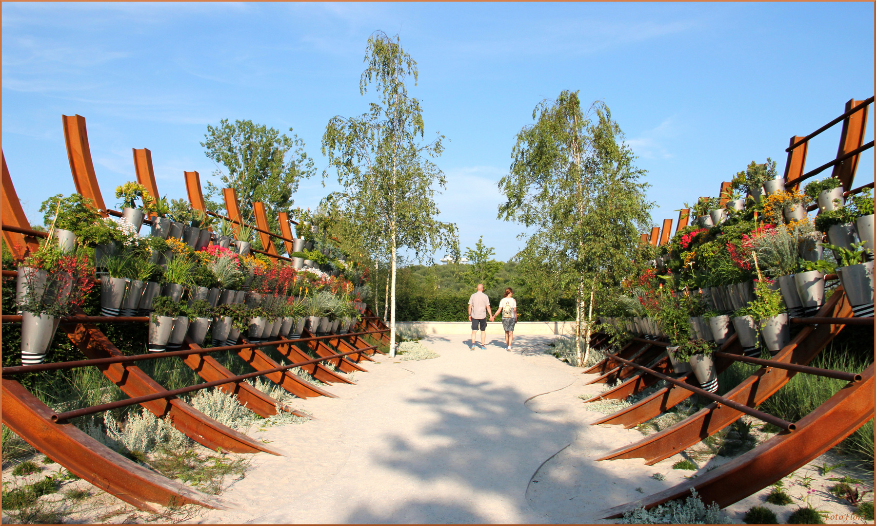 IGA Berlin - Südafrika "African Bouquet" Foto & Bild | natur ...