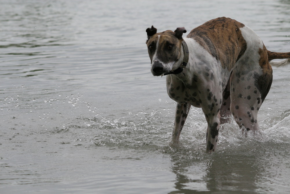 Igitt, muß das so nass sein...??? Foto & Bild | archiv projekte ...