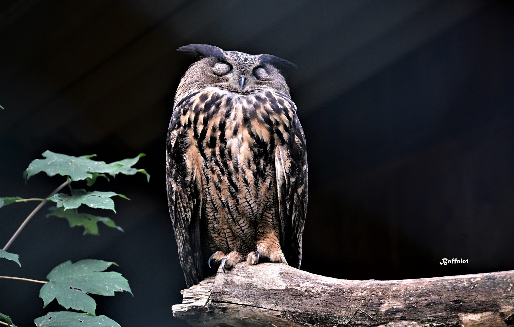 igitt, wieder ein Knipser Foto & Bild | reportage dokumentation ...