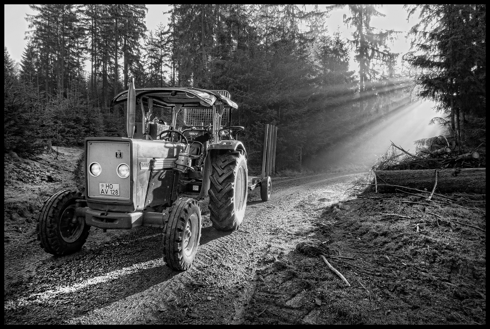 " IHC MC Cormick 523...Oldtimer" Foto & Bild | fotos, spezial, forst ...