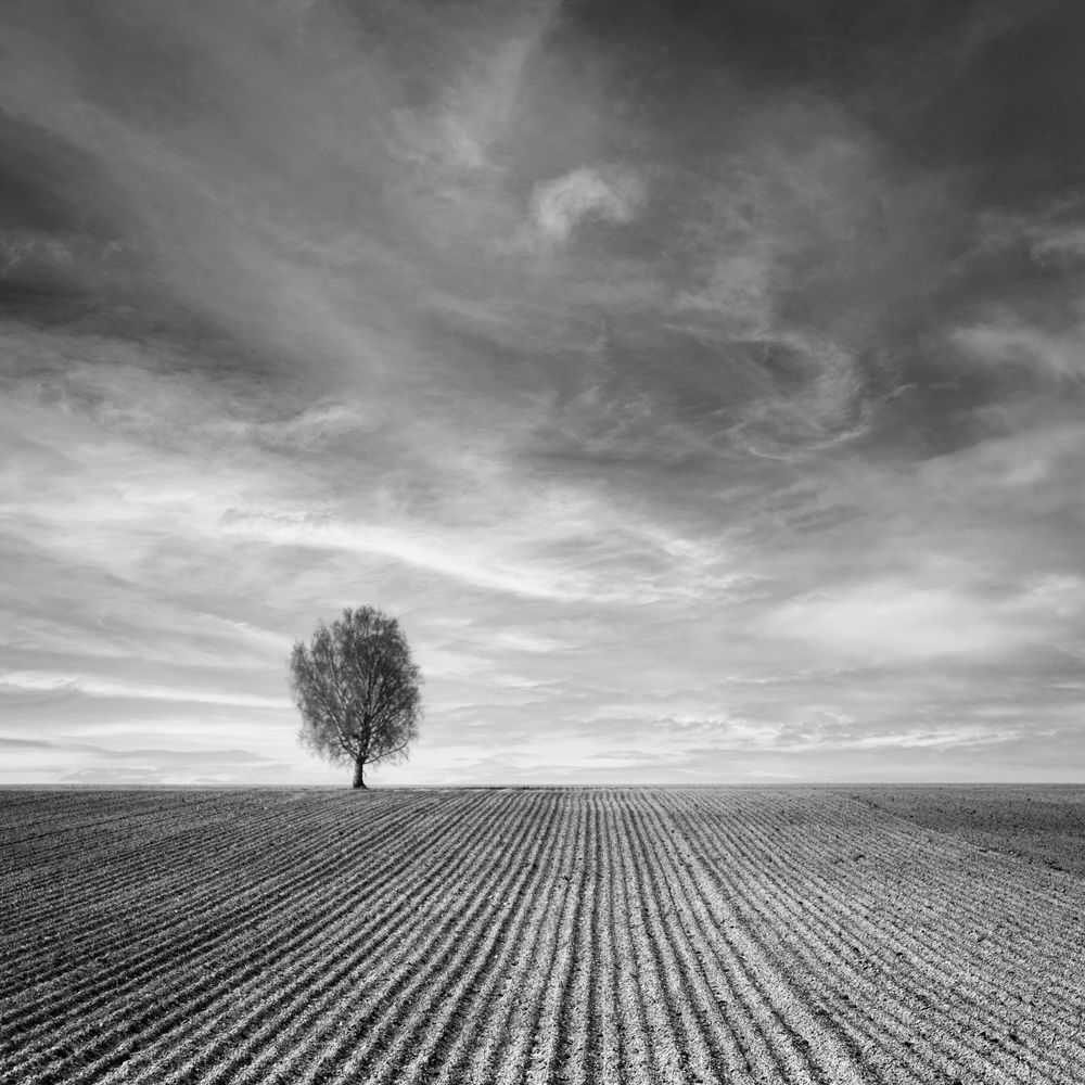 //IIII\\ Foto & Bild | fotokunst, monochrome fine art, monochrom Bilder auf fotocommunity