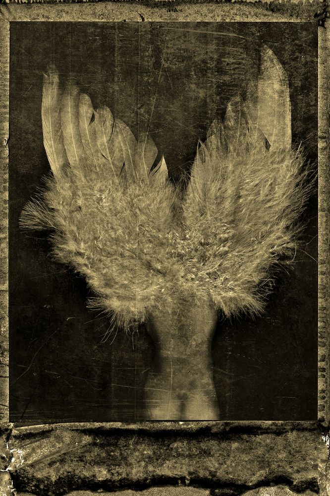 ikarus- ....or Angel....? Foto & Bild | art, spezial, sw Bilder auf ...