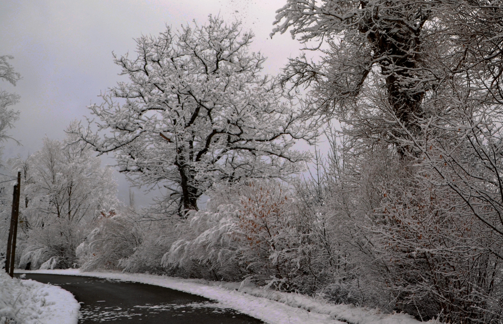 * il a neigé * photo et image | nature, montagne, emotions Images ...