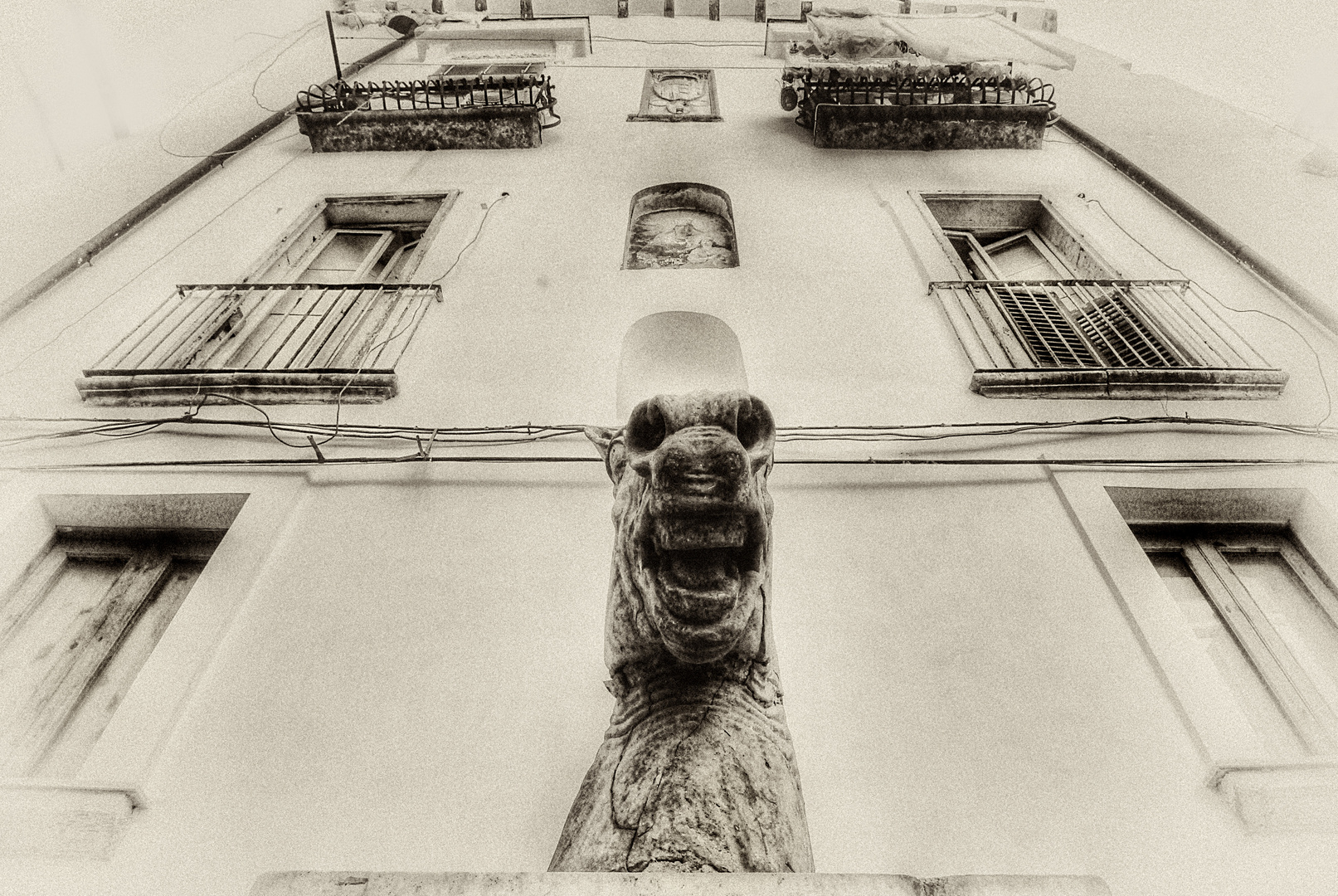 IL CAVALLO CHE RIDE Foto % Immagini| architetture, architetture ...