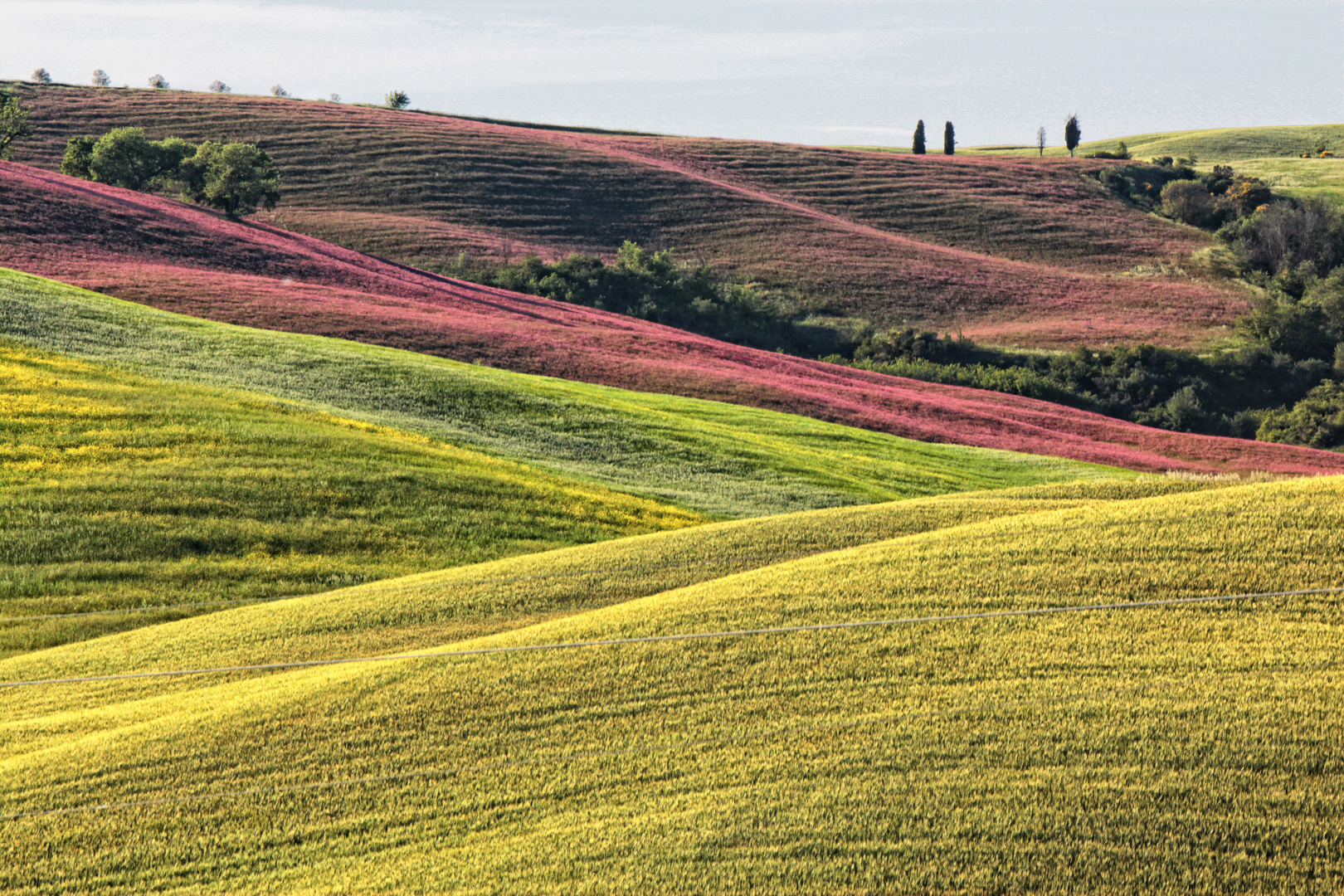 Il colore della primavera Foto % Immagini| paesaggi, campagna, natura ...
