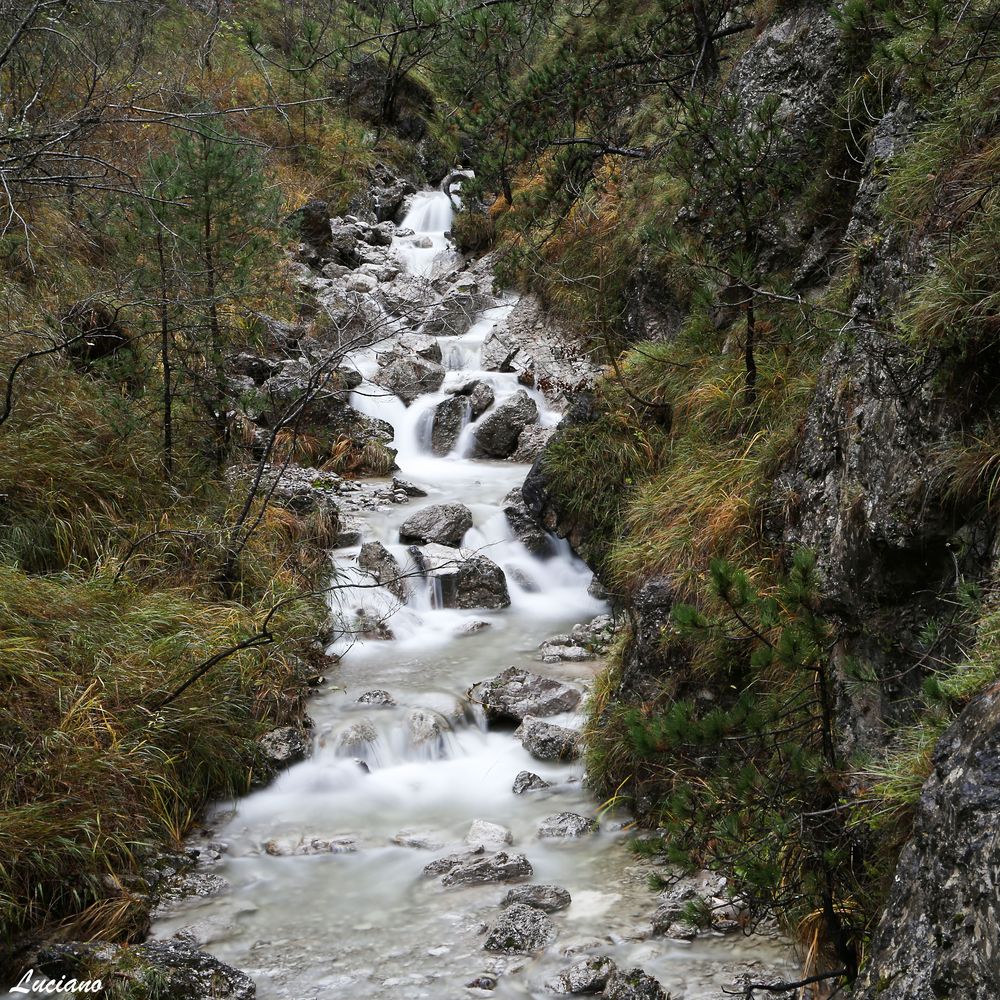 il corso del ruscello Foto % Immagini| paesaggi, laghi e fiumi, valli ...