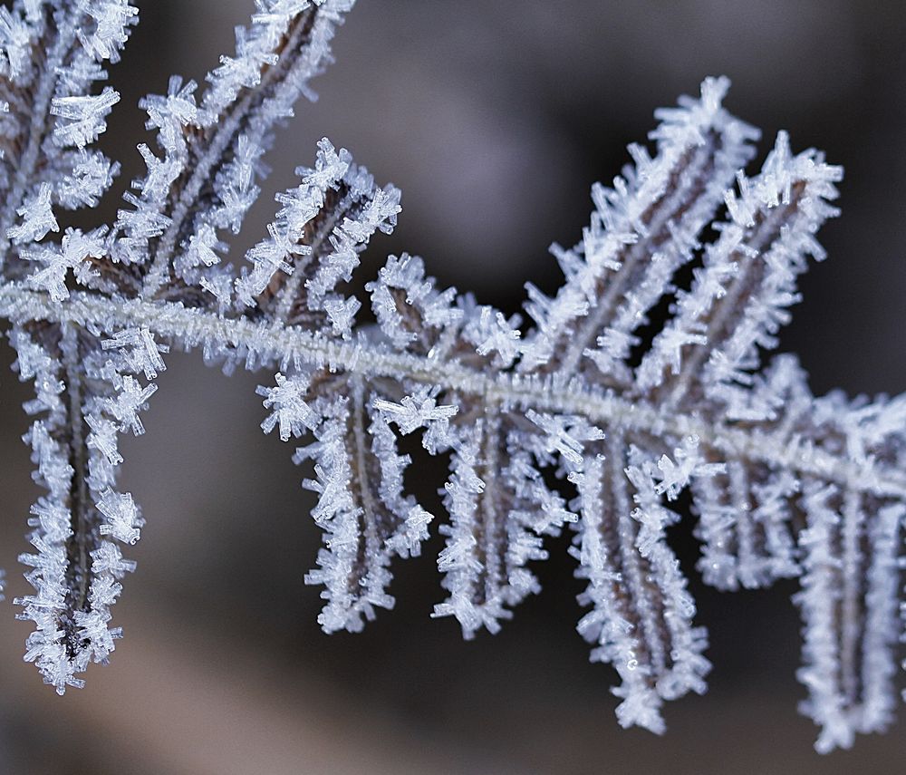 il fait froid ! photo et image | animations photographiques, exercices ...