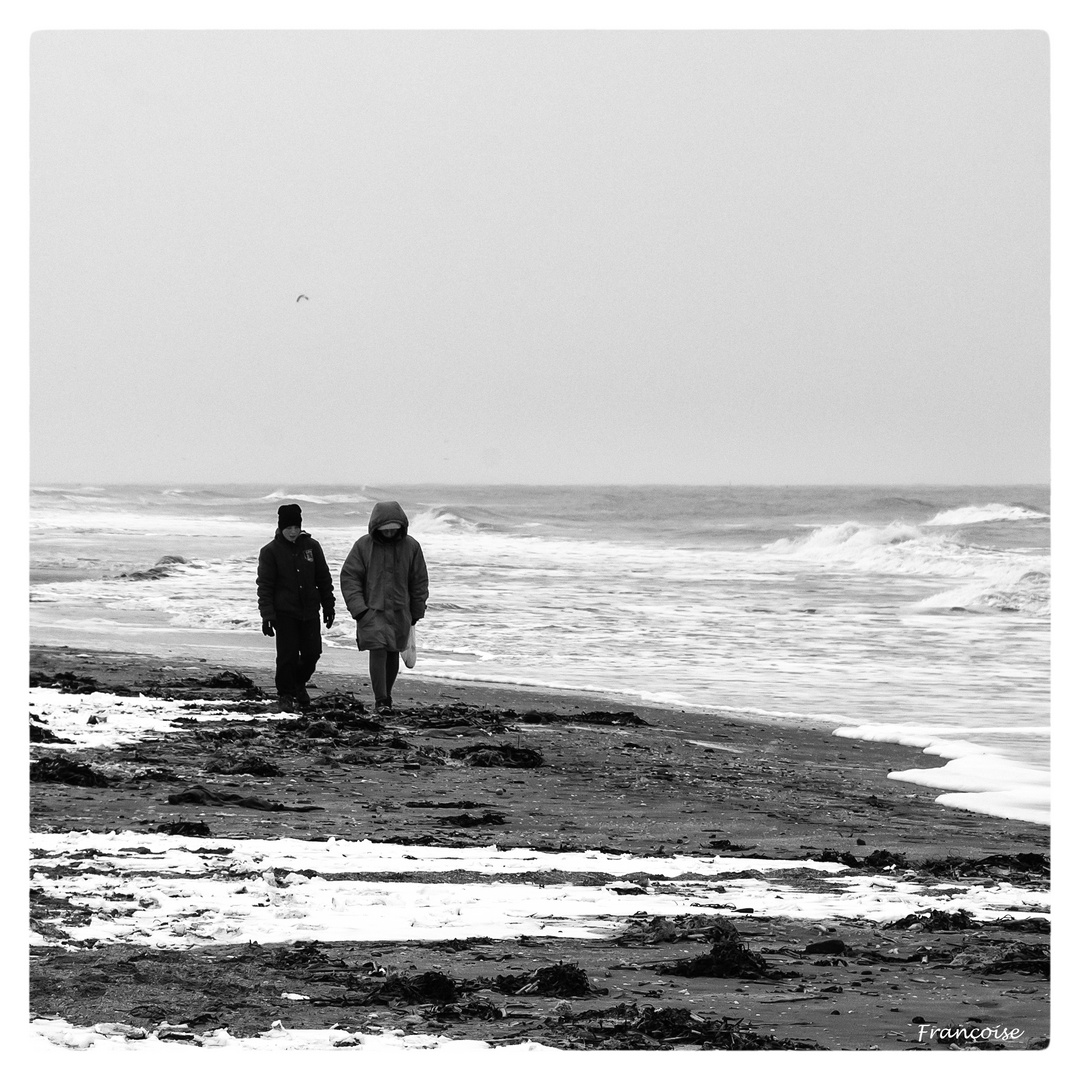 Il fait froid photo et image | monochrome, noir et blanc, plage Images ...