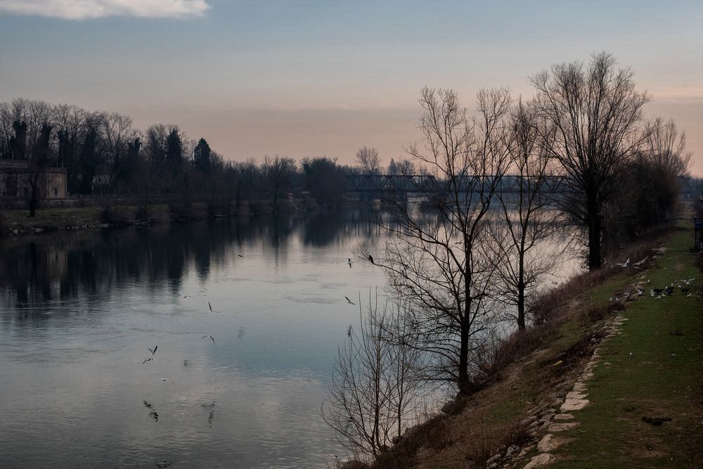 Il fiume Adda a Pizzighettone Foto % Immagini| paesaggi, laghi e fiumi ...