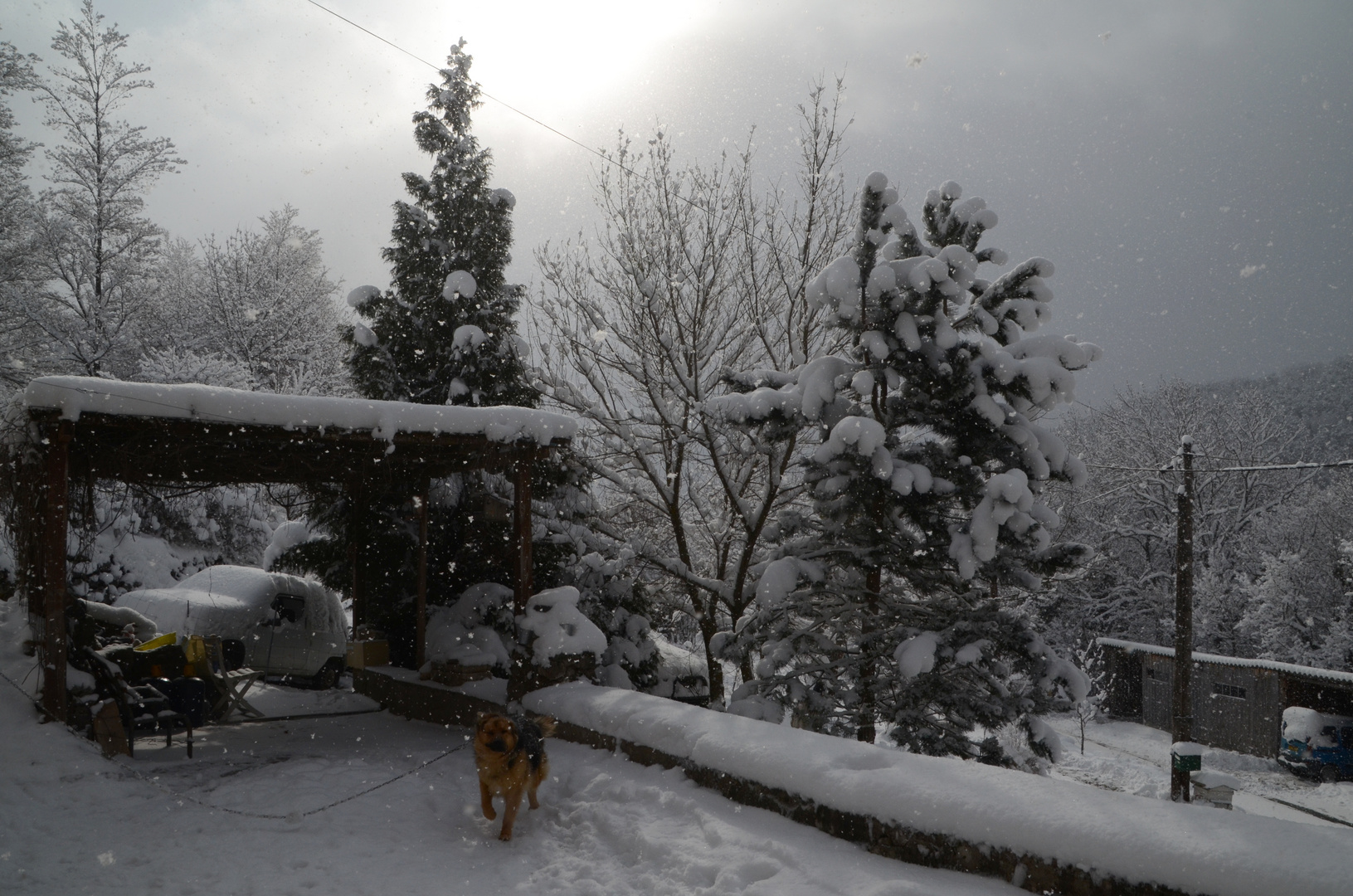 * il neige * photo et image | nature, montagne, neige Images fotocommunity