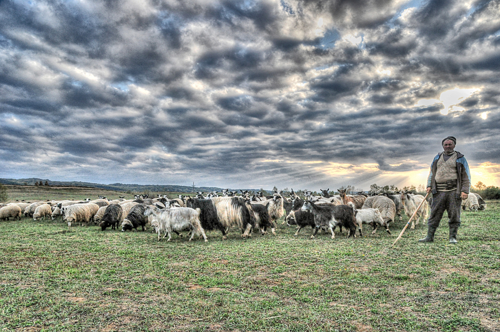 IL PASTORE...... Foto % Immagini| reportage, soggetti Foto su fotocommunity
