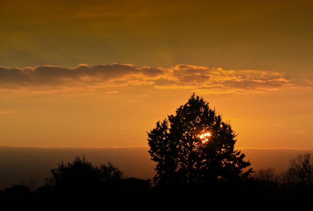il sole........................................ Foto % Immagini ...