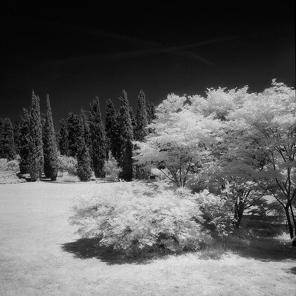 il vero infrarosso 11 Foto % Immagini| tecniche speciali, infrarosso ...