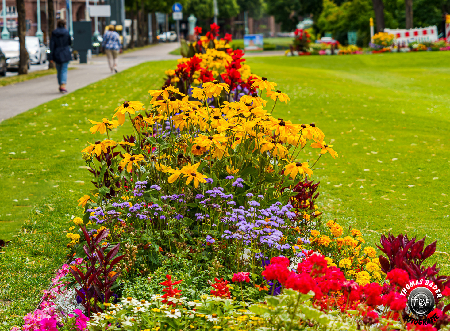 ILCE-7M3-07. Juli 2022-TBF02850 Foto & Bild | deutschland, europe, baden- württemberg Bilder auf ...