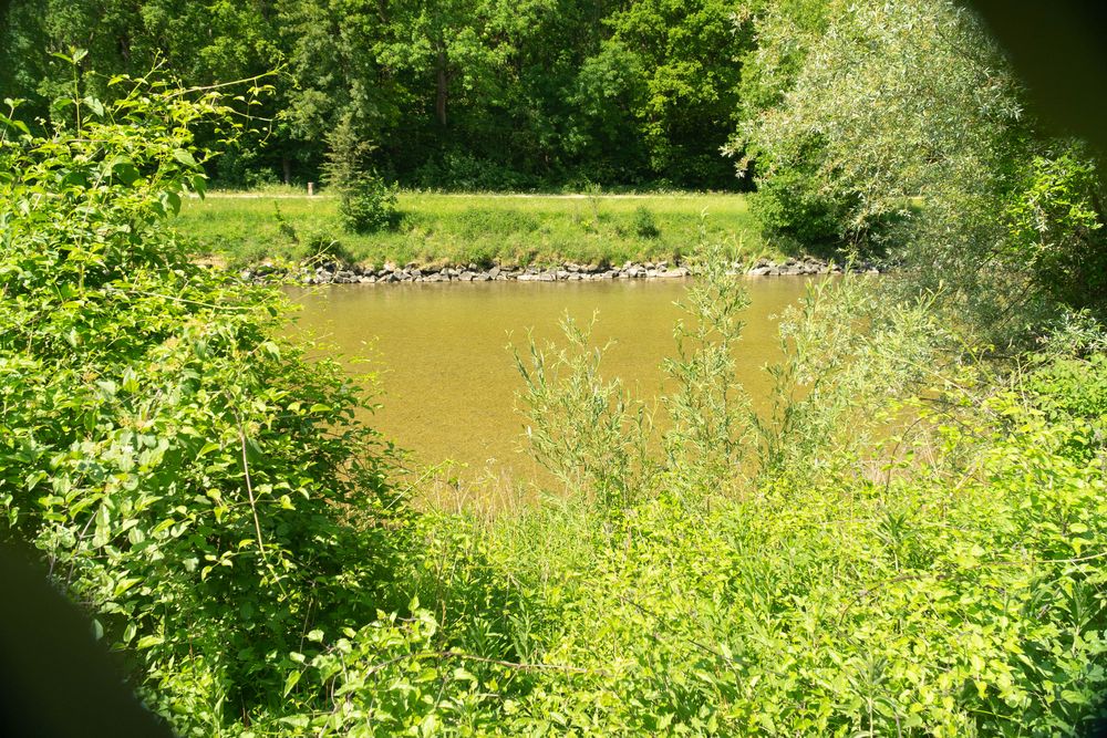 Iller bei Senden Foto & Bild | natur Bilder auf fotocommunity