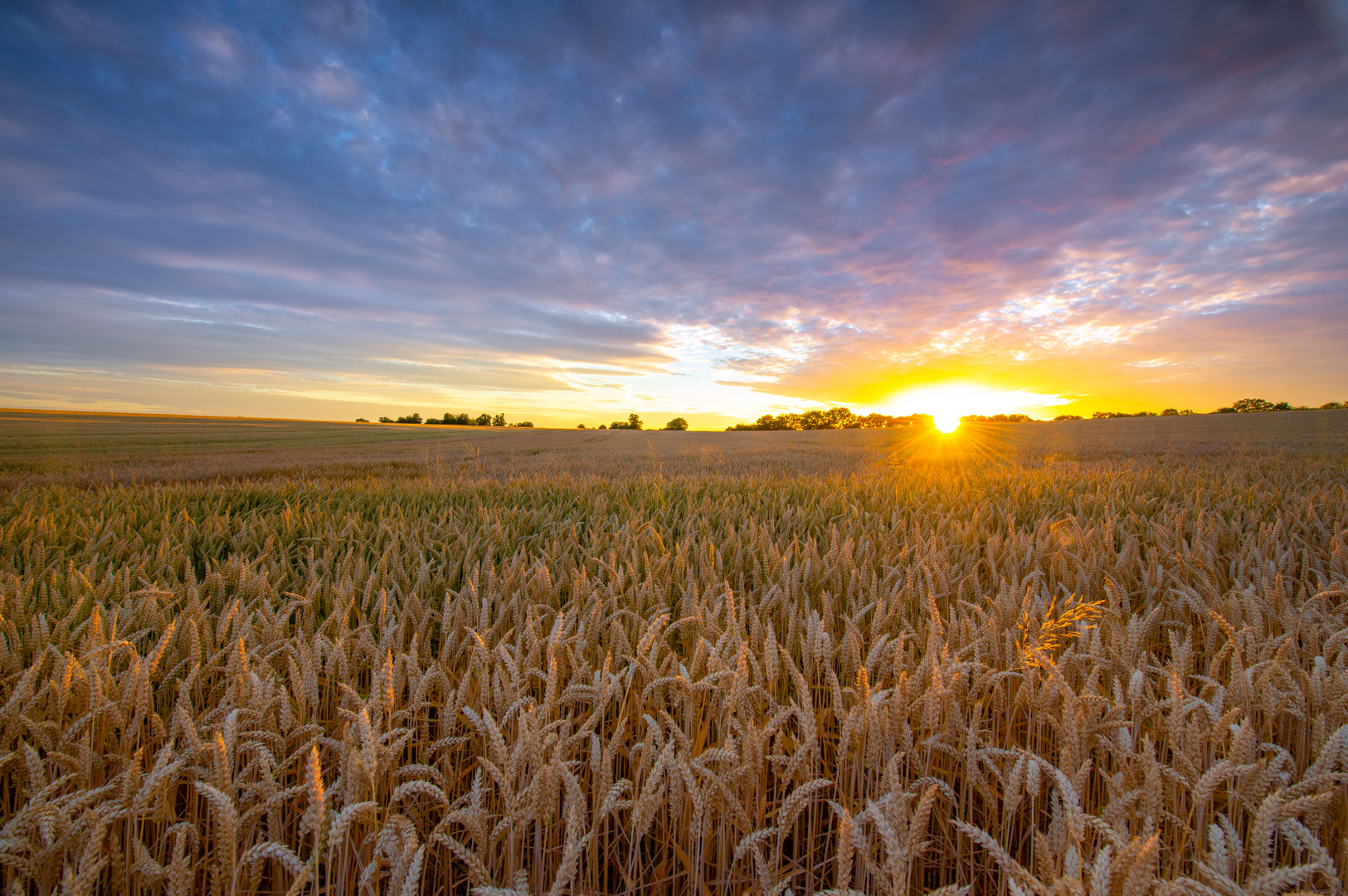 Im Abendlicht Foto & Bild | landschaft, jahreszeiten, sommer Bilder auf fotocommunity