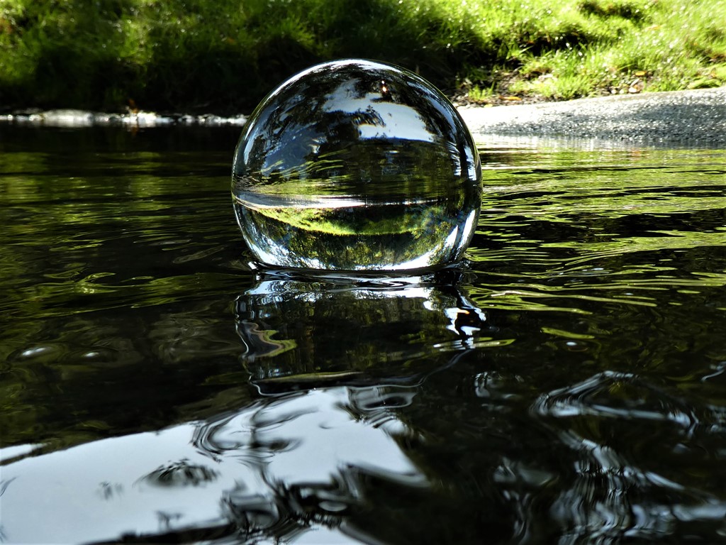 Im Bach Foto & Bild | landschaften, natur, herbst Bilder auf fotocommunity