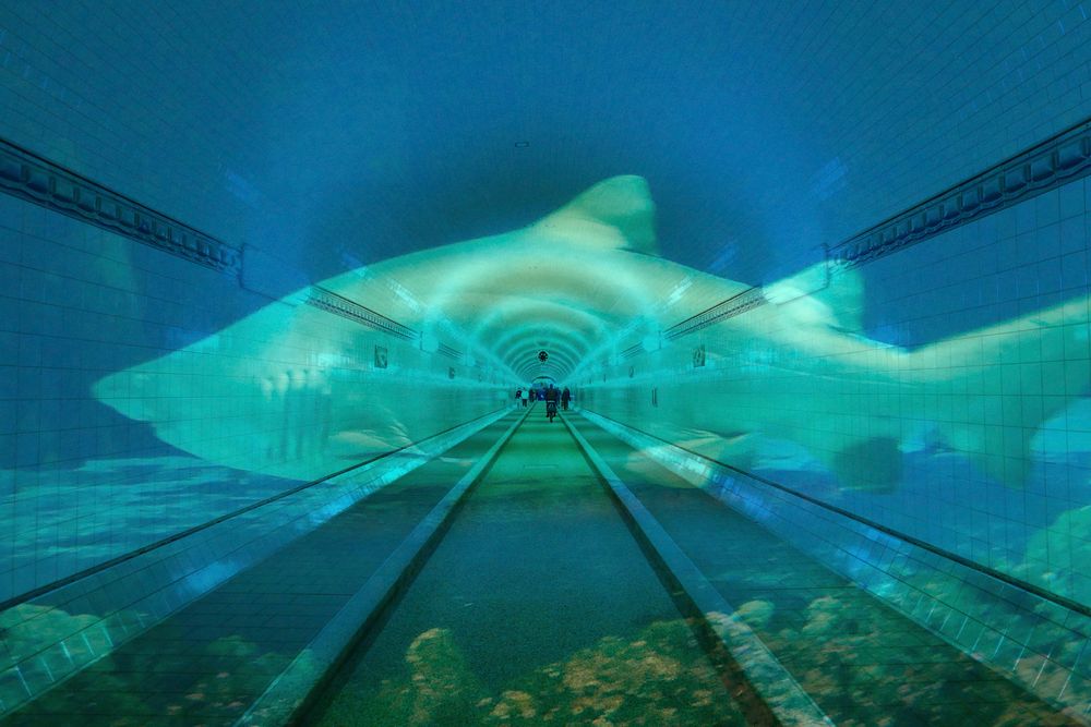 Im Bauch des Hais Foto & Bild | hamburg, digiart, architektur Bilder ...