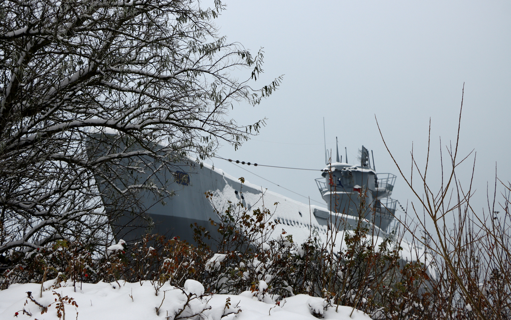 Im Busch ... Foto & Bild | world, winter, schnee Bilder auf fotocommunity