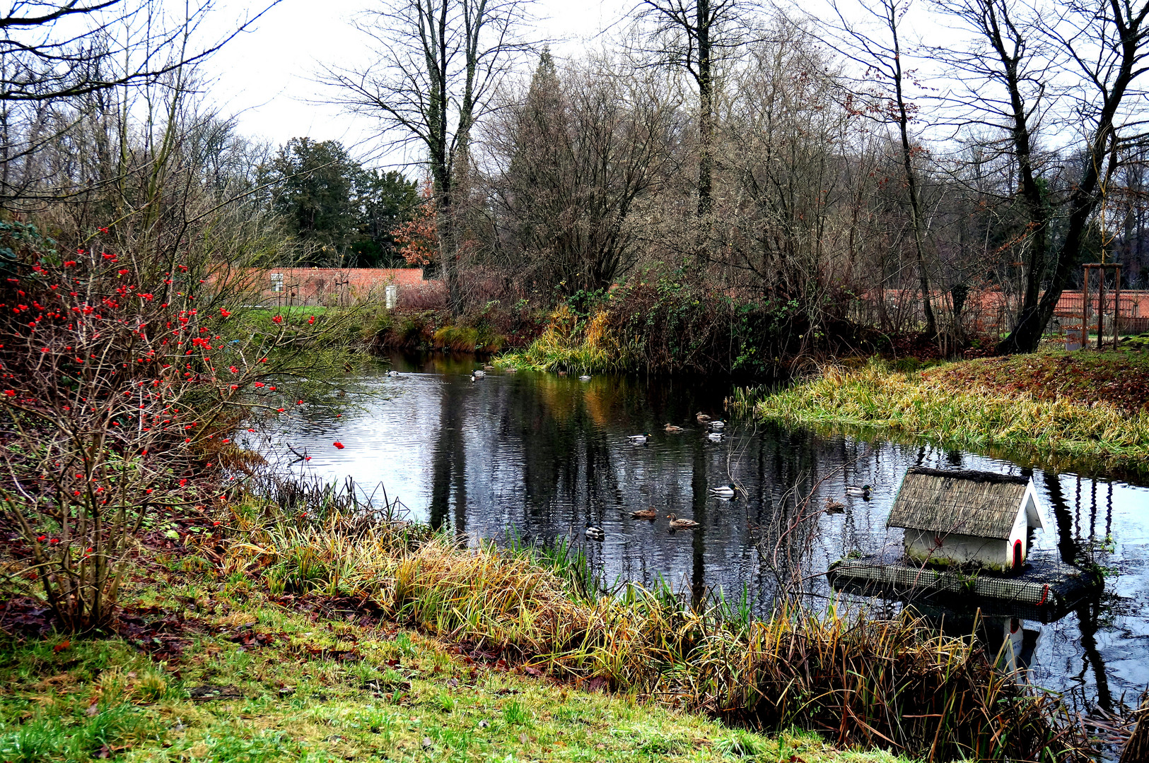 Im Dezember Foto & Bild | landschaft, jahreszeiten, winter Bilder auf ...