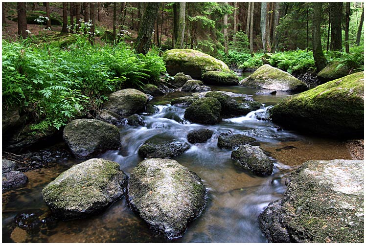 Im Doost Foto & Bild | deutschland, europe, bayern Bilder auf fotocommunity